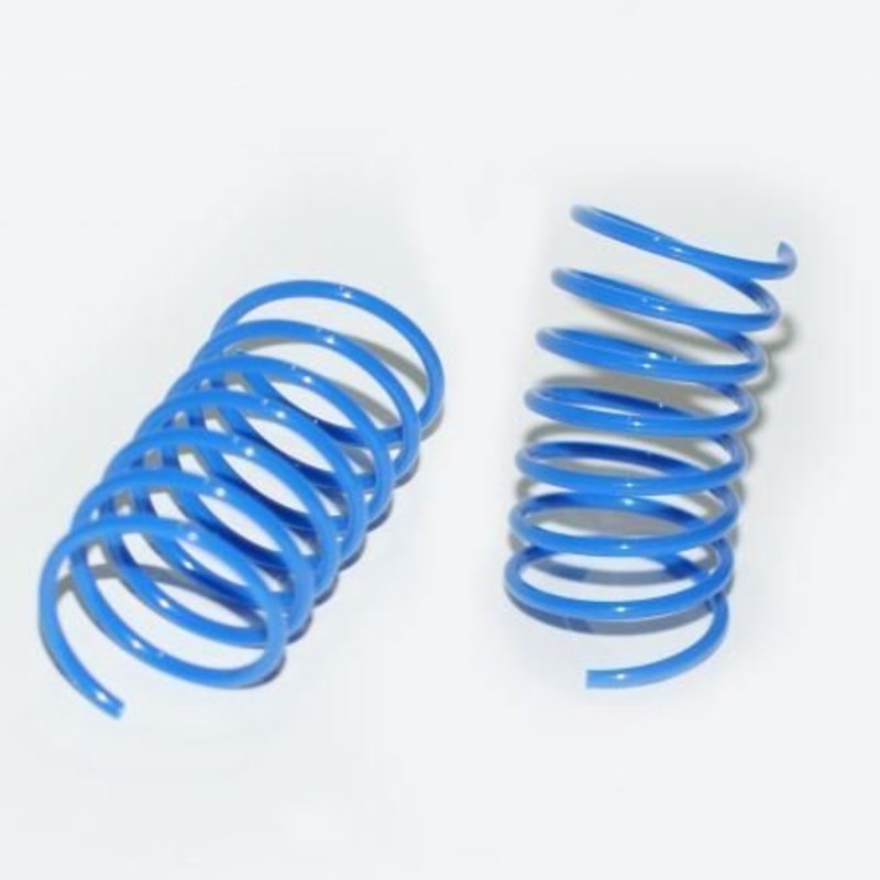 Springveer - Catcetera