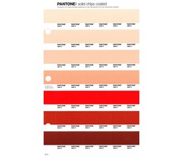 Pantone PMS Solid Chips vervangingspagina op coated papier 37C ...