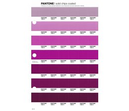 Pantone PMS Solid Chips vervangingspagina op coated papier 81C ...