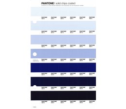 Pantone PMS Solid Chips vervangingspagina op coated papier 110C ...