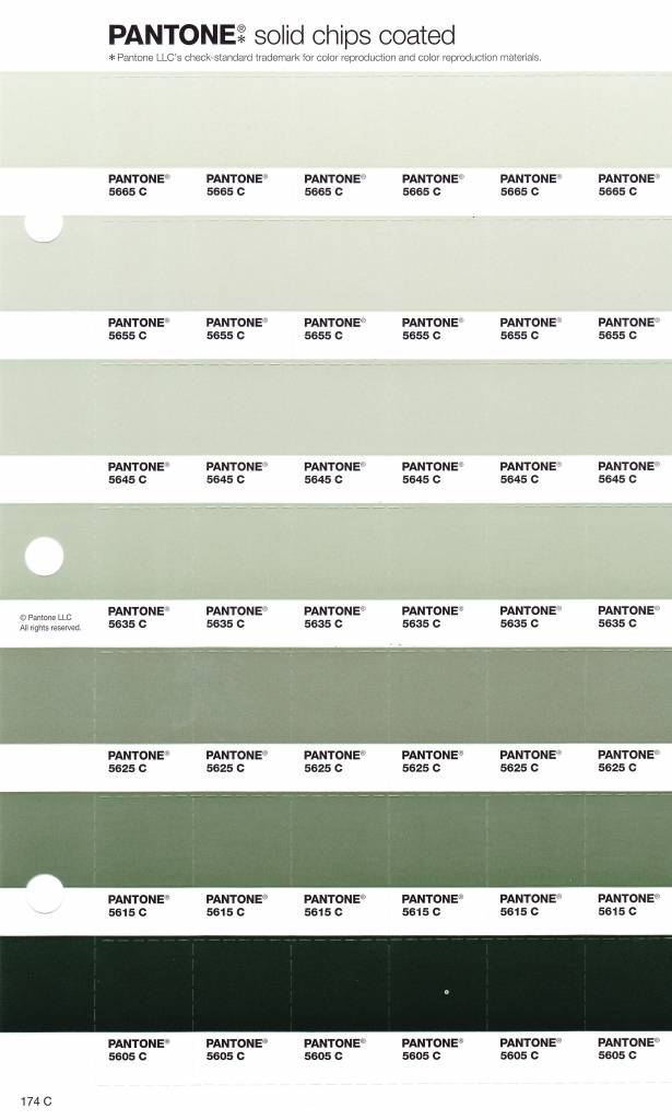 Pantone PMS Solid Chips vervangingspagina op coated papier 174C ...