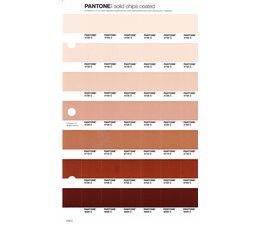 Pantone PMS Solid Chips vervangingspagina op coated papier 233C ...