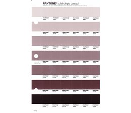 Pantone PMS Solid Chips vervangingspagina op coated papier 243C ...