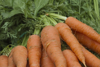 10 snacks voor op kantoor: een lekkere en gezonde selectie - ergowerken