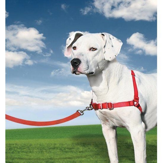 Petsafe Anti-Pull Dog Harness Easy Walk ® Red - Petsonline