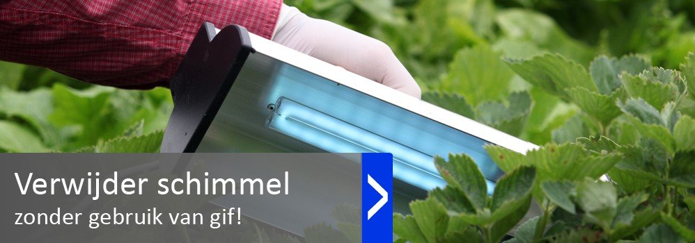 CleanLight meeldauw en botrytis bestrijding - Cleanlightdirect