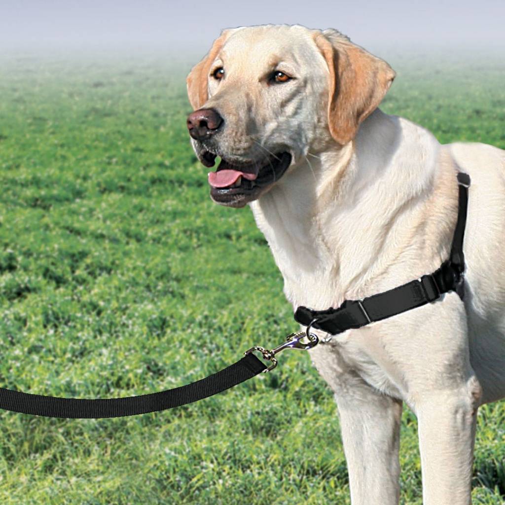 Petsafe Easy Walk Anti-Trektuig Zwart Maat L | Staywell by PetSafe
