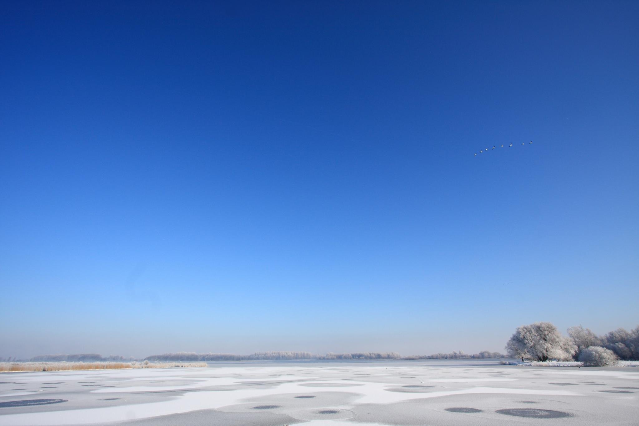 Why does the sky look darker blue somedays, yet lighter blue on others ...