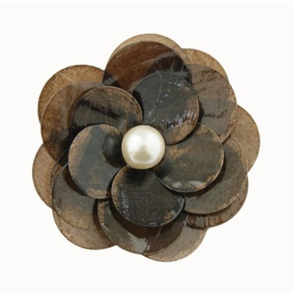 De Romeinen: Voorbeelden van broches