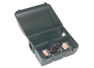 Muizen en Ratten bestrijden - Tuinier-winkel.nl