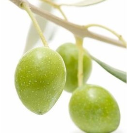 Basis (Plantaardige) olie - Aromalifestyle