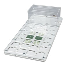 Start your own Ant Farm - Ant's Kingdom