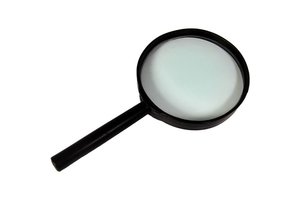 Vergrootglas - Mierenboerderij