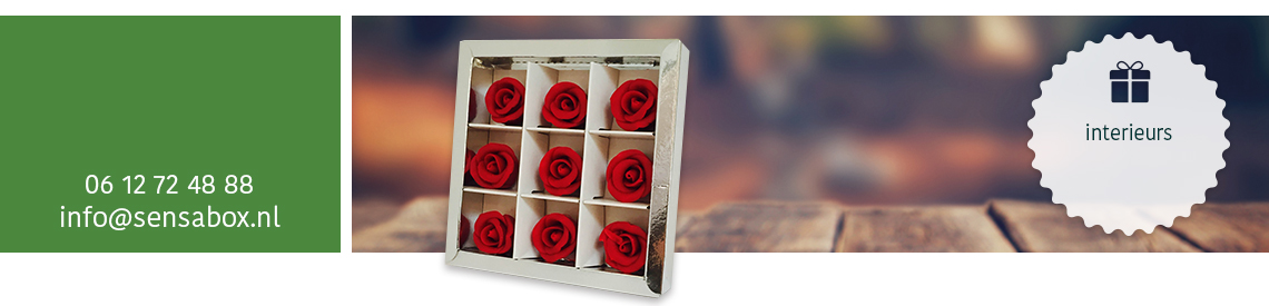 Interieurs voor in dozen - SensaBox