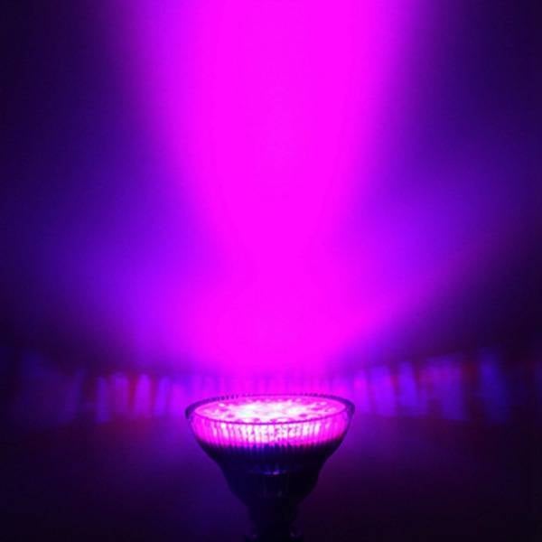 Violet Purple Led Lights