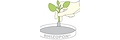 Stekpoeder Groen Chryzotop 0.25 % 80 gram - Raja Trading | The Urban ...