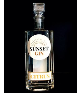 Gin kopen bij de Ginwinkel in het centrum van De Haan - Ginwinkel