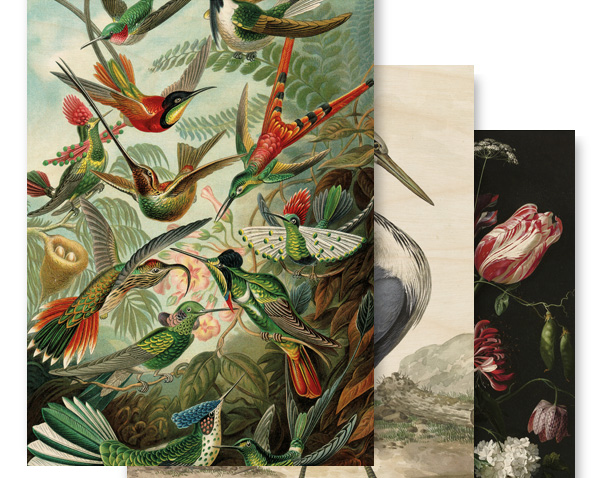 Shop Wall Decor, Murals, Decals, Posters - KEK Amsterdam® - KEK Amsterdam